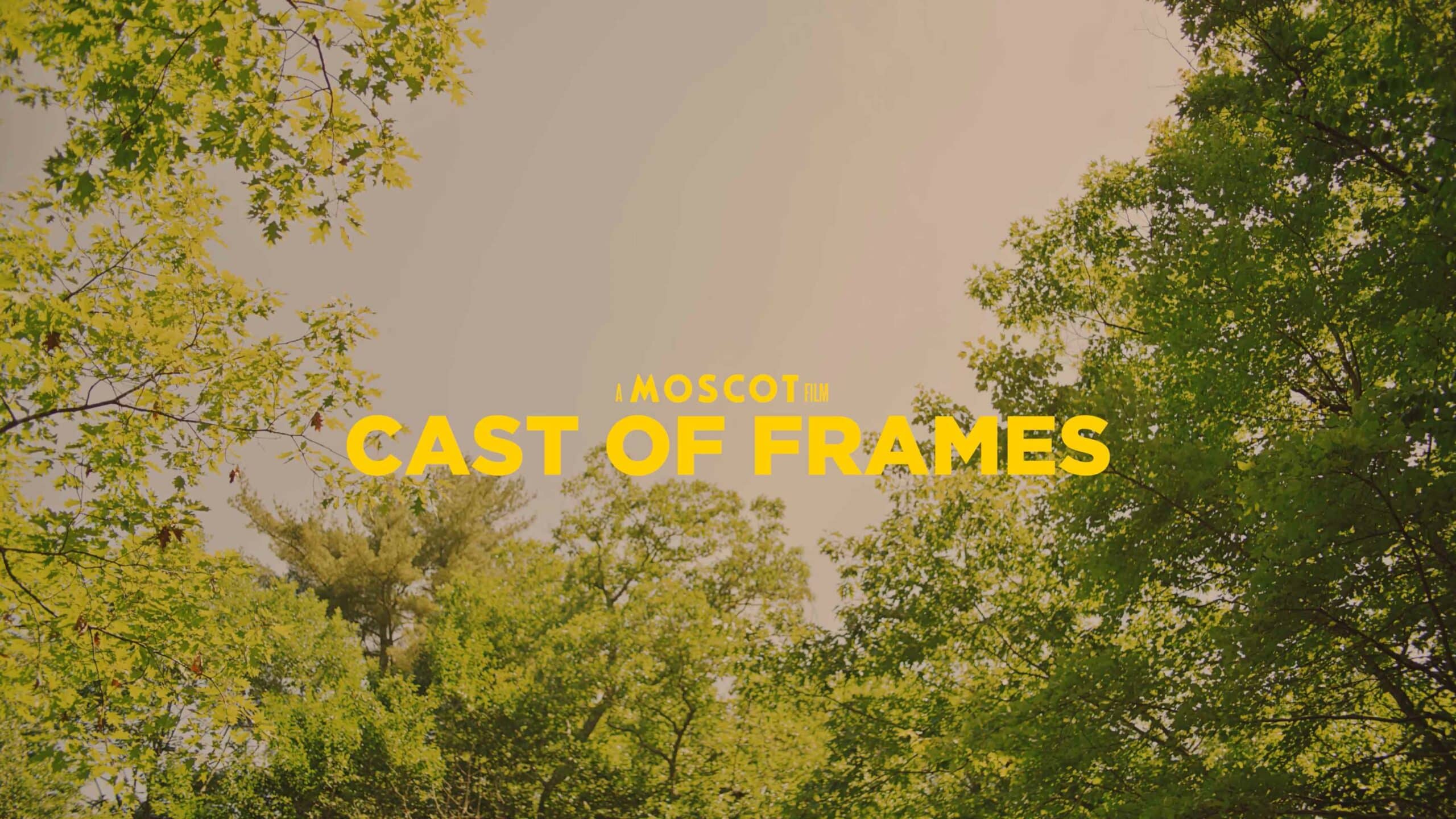 Moscot Brillen & Moscot Sonnenbrillen bei optik art in Dortmund